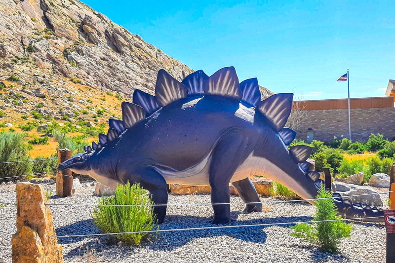 Quarry Visitor Center - Dinosaur National Monument - 125