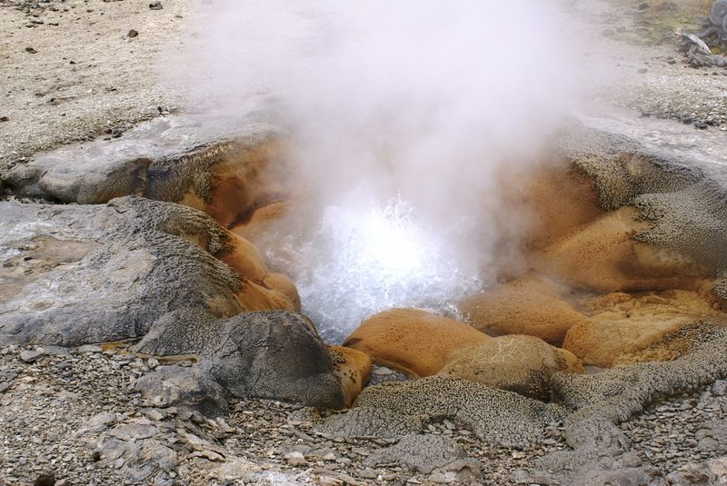Shell Spring - Yellowstone National Park - 06845