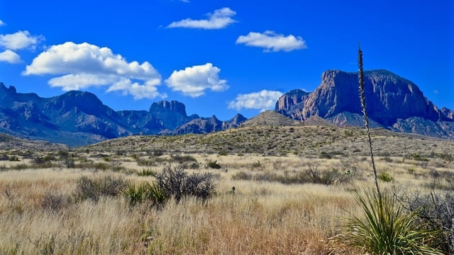 Guide complet pour visiter Big Bend NP : points de vue et randonnées