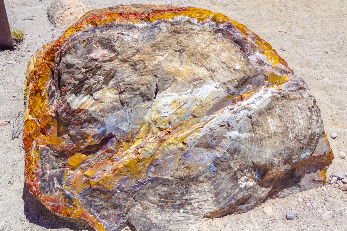 Visiter Escalante Petrified Forest SP : points de vue et randonnées