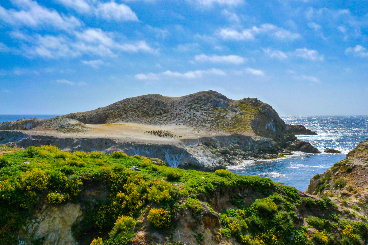 Visiter Point Lobos State Natural Reserve : conseils, points de vue