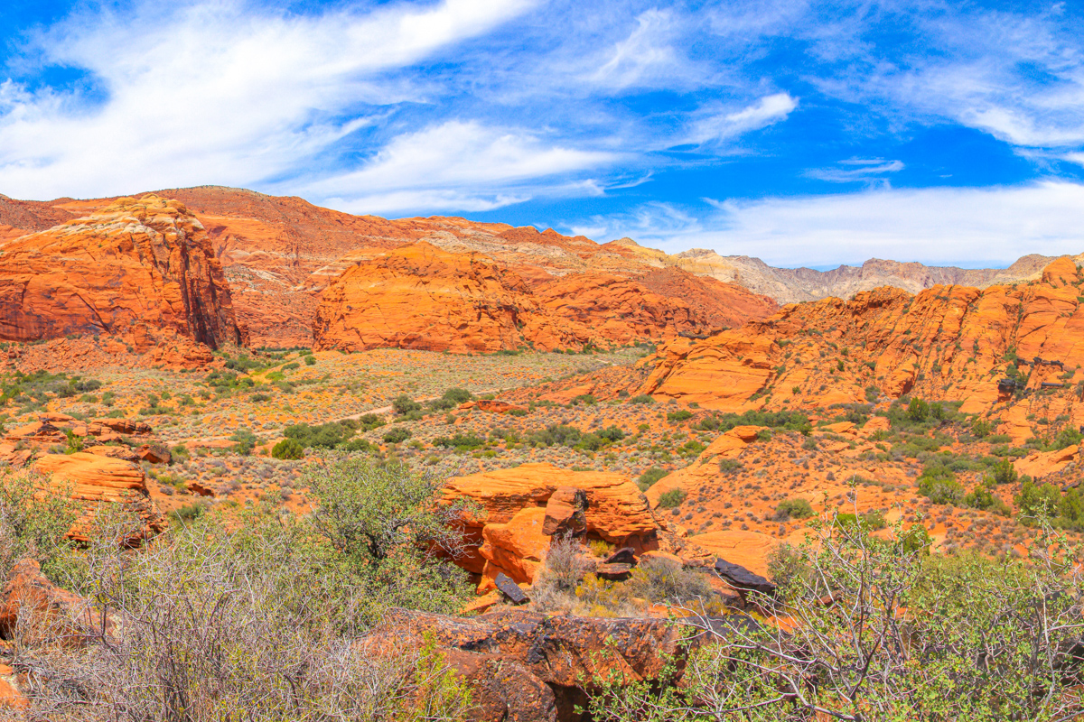 Visiter Snow Canyon SP : points de vue et randonnées incontournables