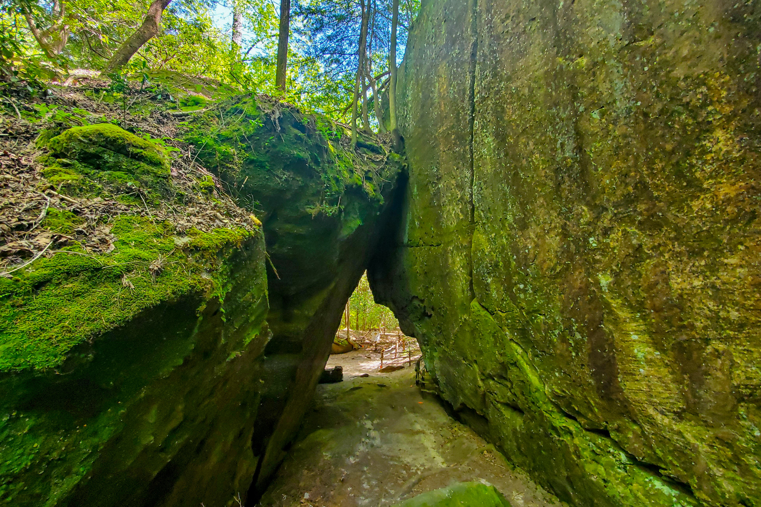 Dismals Canyon : guide de visite