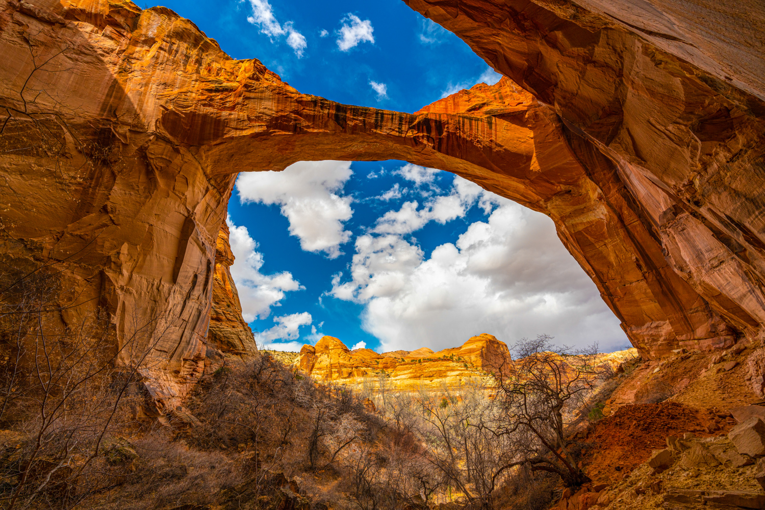 Escalante River : Escalante Natural Bridge, Phipps Arch, 100 Hands Panel