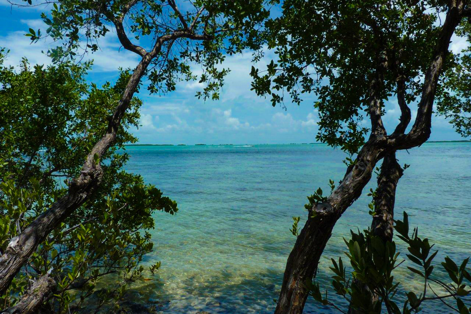 Visiter Les Keys, les plus belles îles et plages de Floride