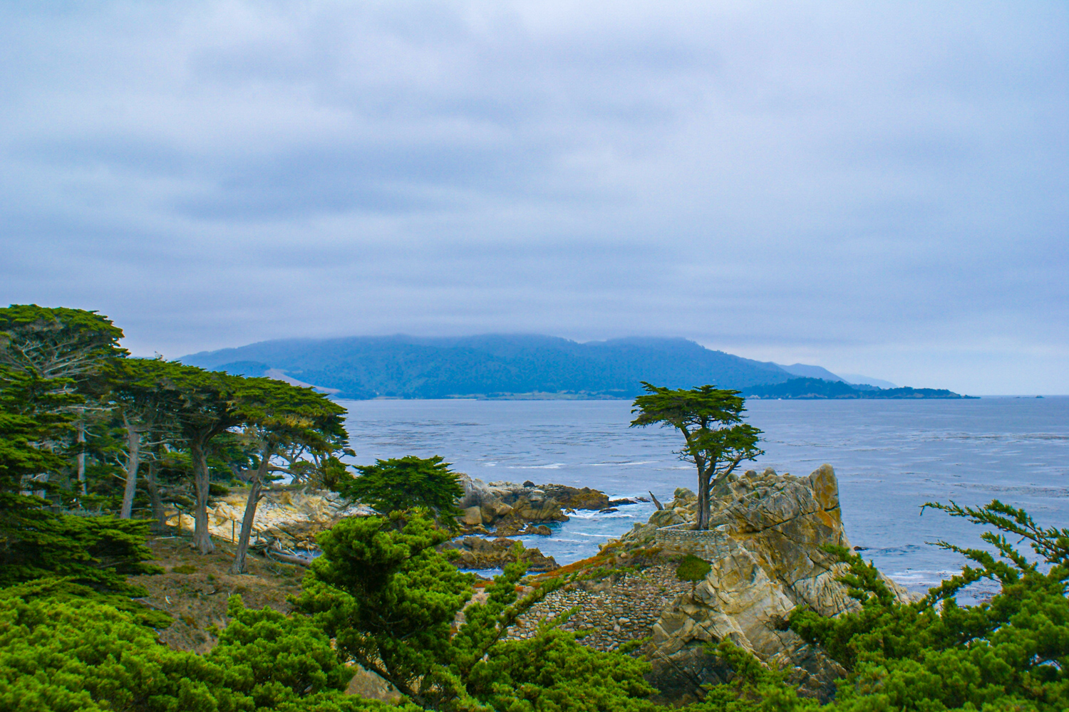 Visiter la ville de Monterey : nos conseils sur les choses à voir