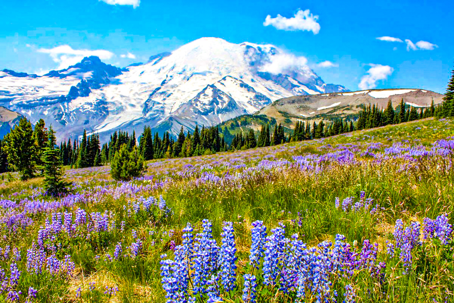 Carte Du Sommet Du Mont Rainier