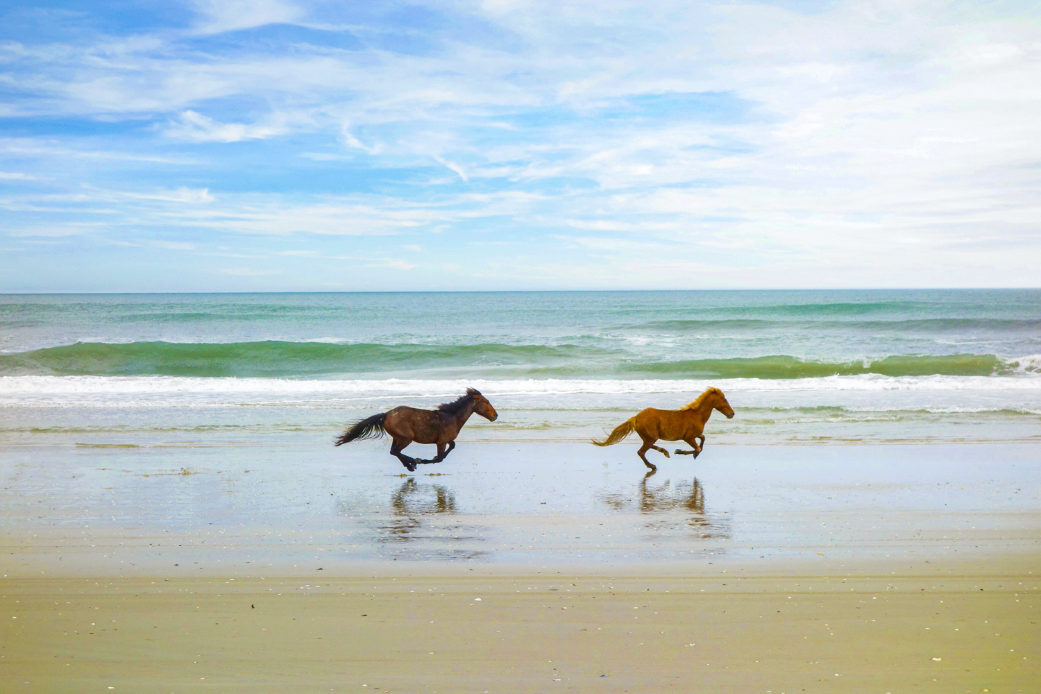 Outer Banks : guide de visite pour découvrir ces superbes îles