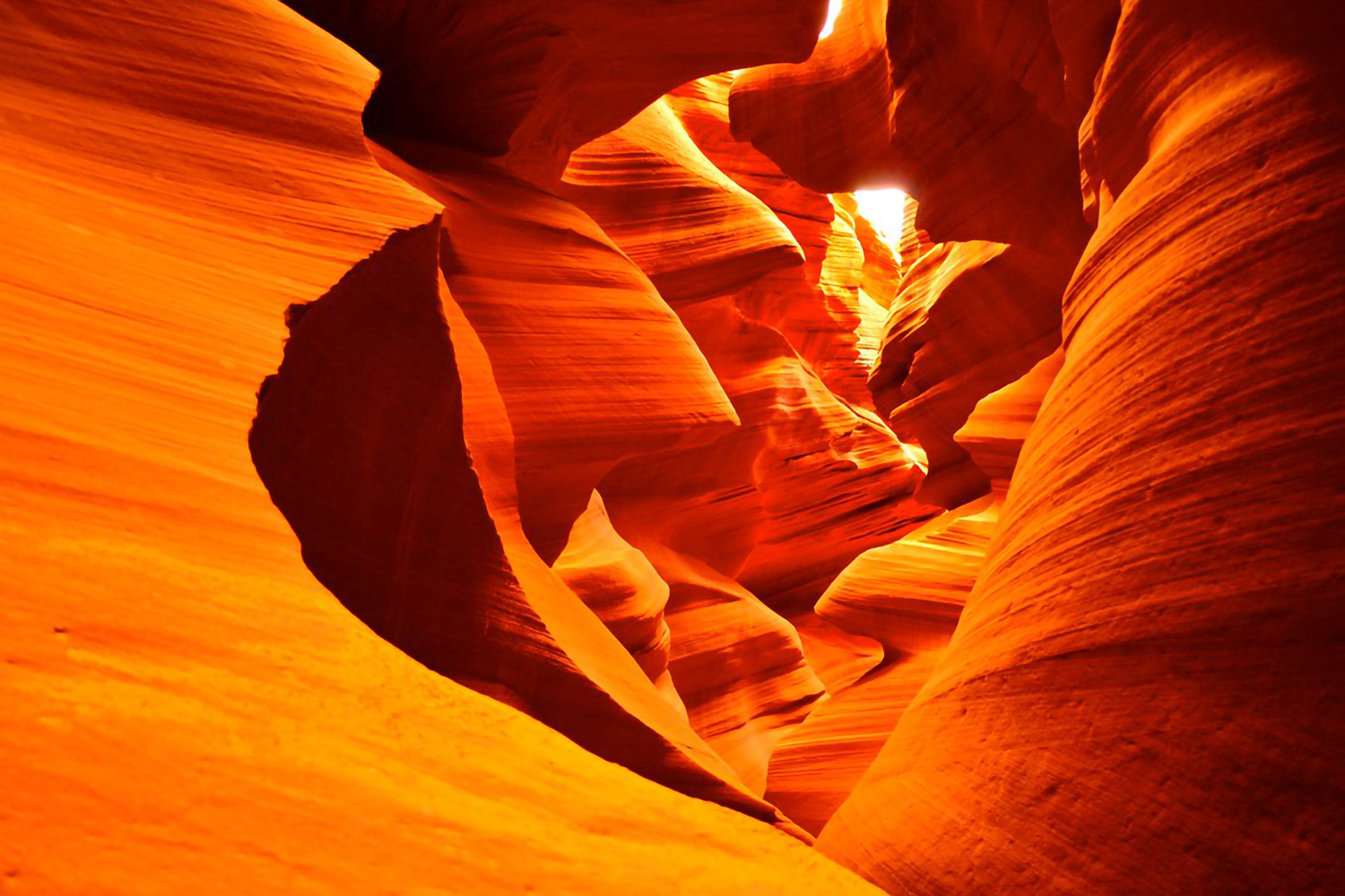 Découvrez l'incroyable patrimoine naturel autour de Page (Arizona)