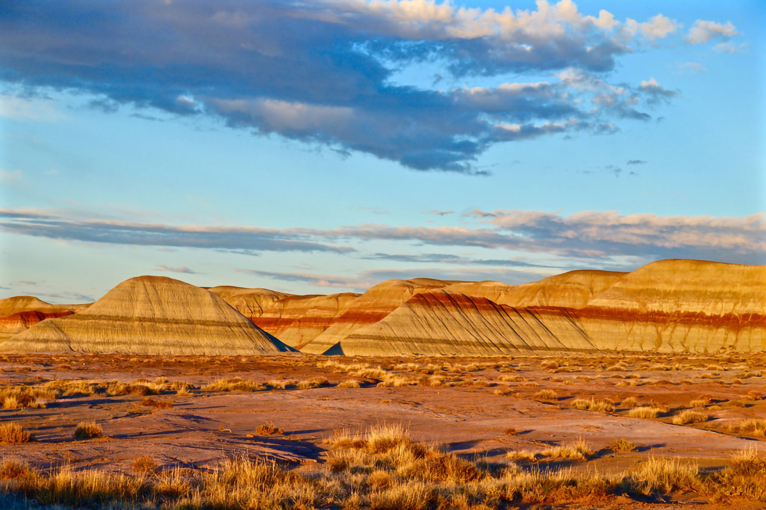 Petrified Forest National Park & Painted Desert : points de vue, randos