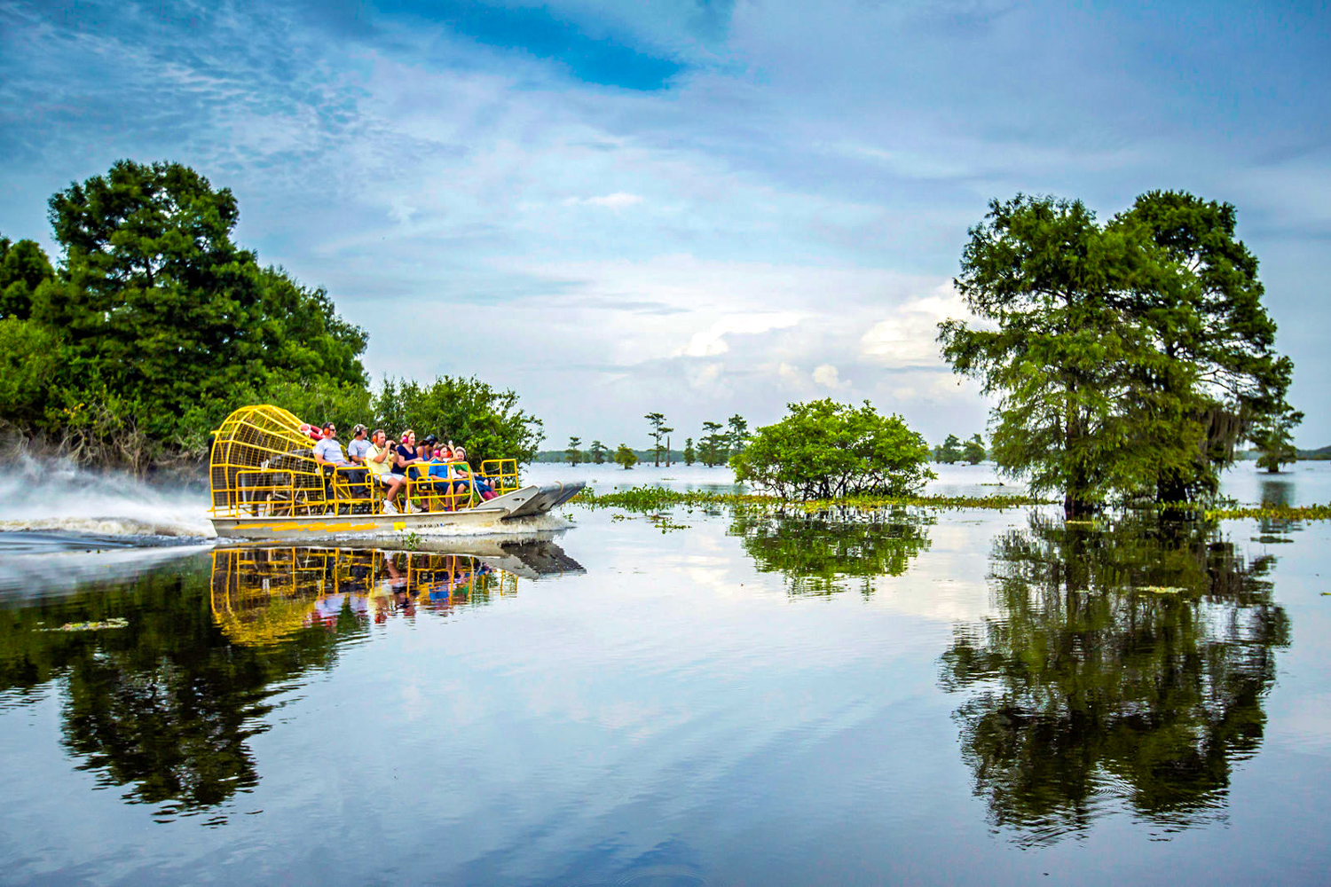 Swamp Tour aux USA : plongez dans les mystères des bayous