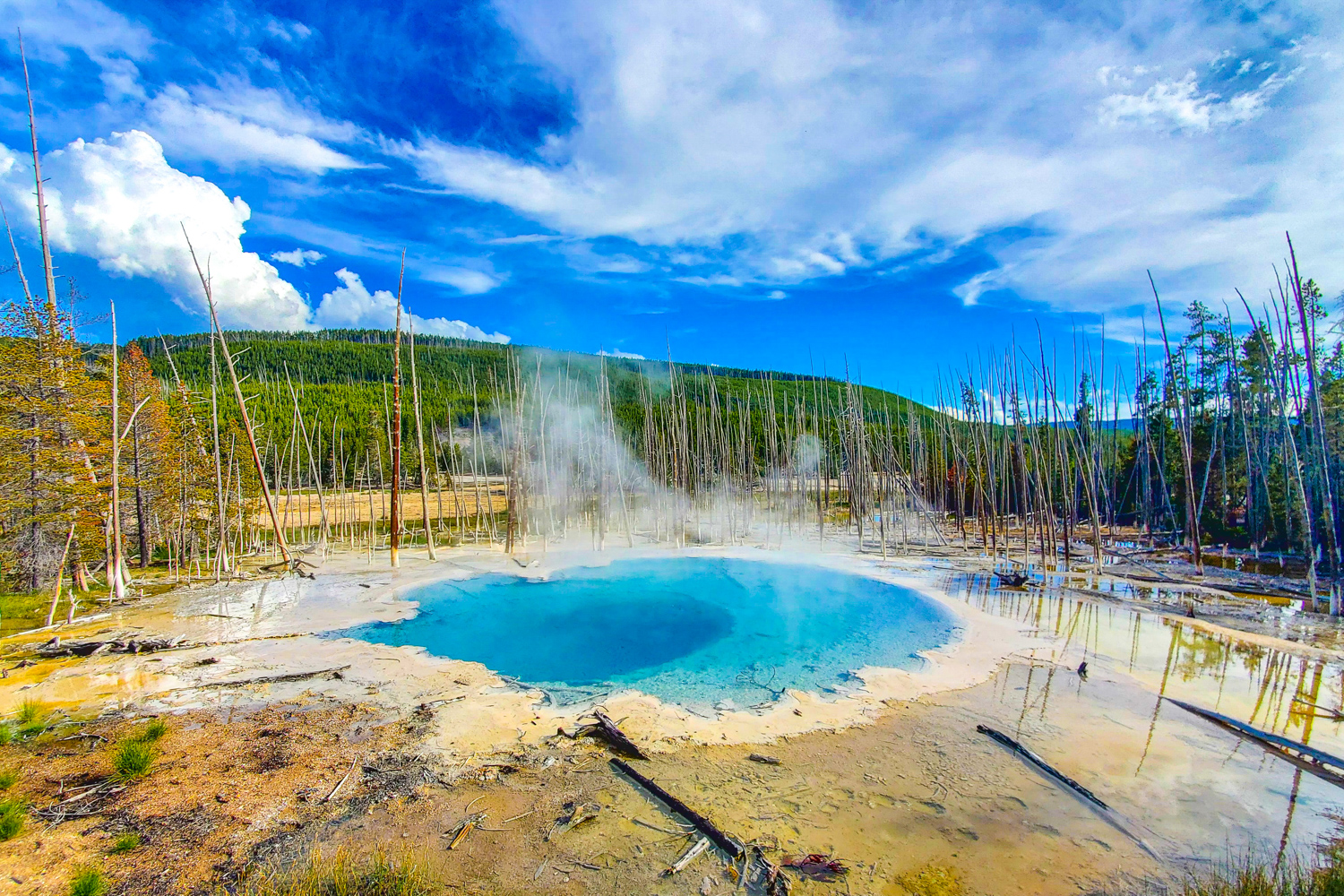 Norris Geyser Basin : guide de découverte exhaustif